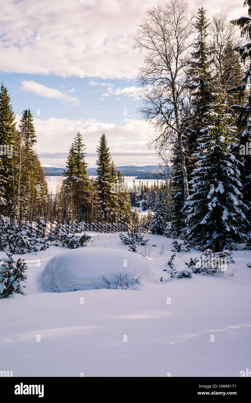 Winter landscape with snowy trees and fence. Christmas scene Stock ...