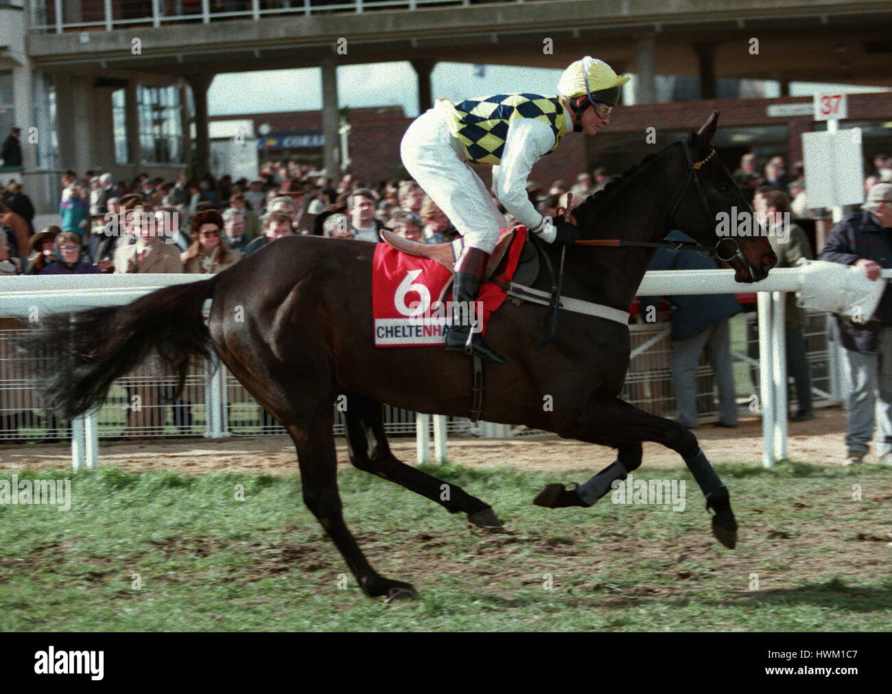 Travado hi-res stock photography and images - Alamy