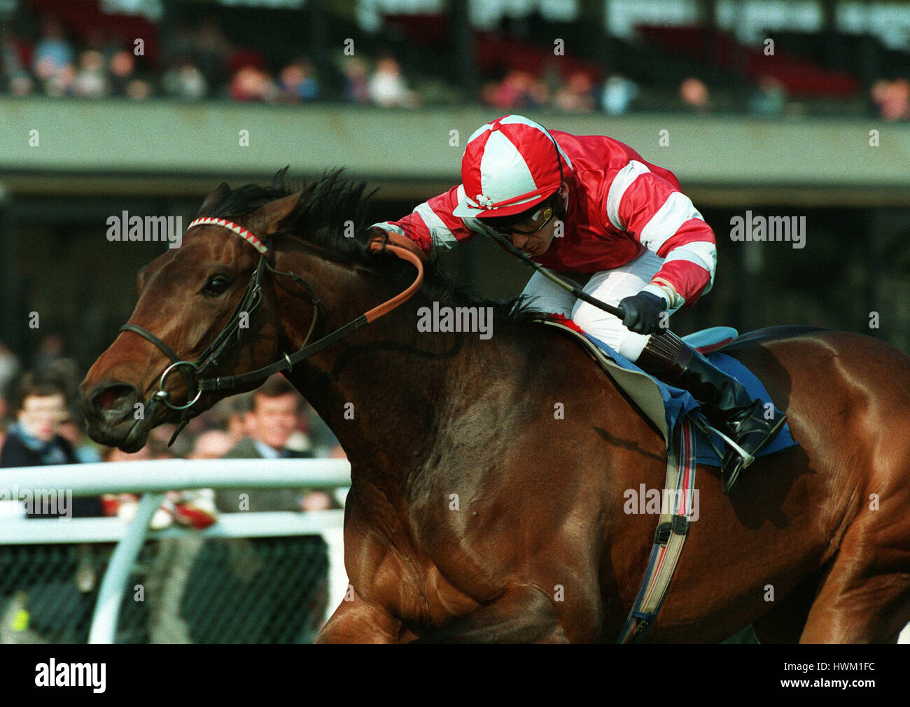 Kevin ridden hi-res stock photography and images - Alamy