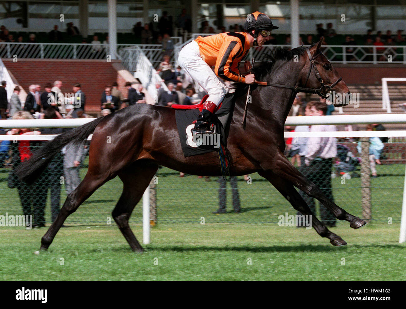 FRIENDLY FORESTER RIDDEN BY WILLIE RYAN 25 April 1995 Stock Photo - Alamy