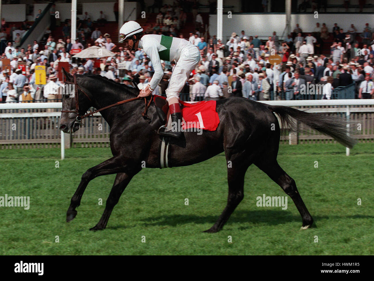 Tikkanen hi-res stock photography and images - Alamy