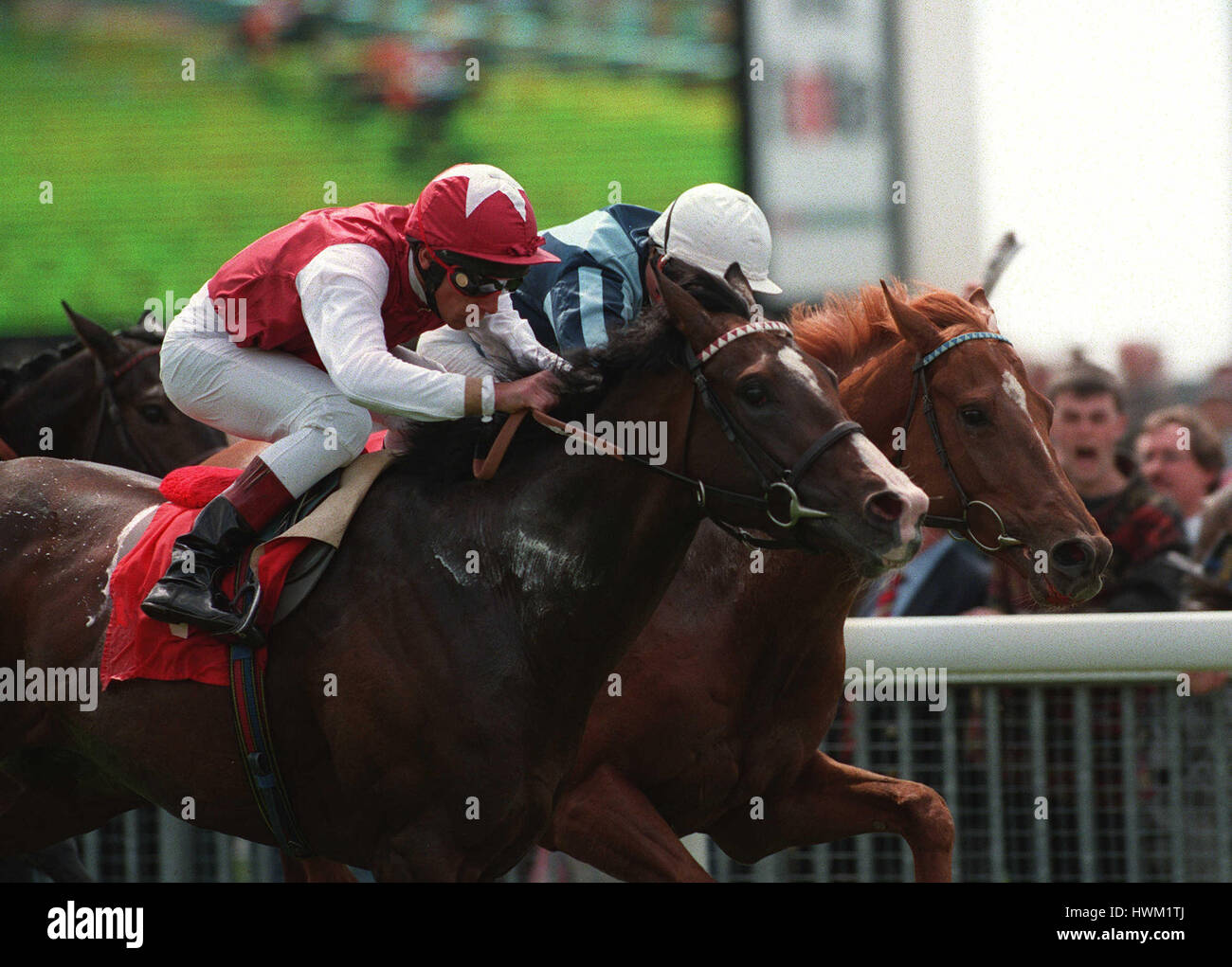 TAMURE (DETTORI) WINS MICHAEL SEELY STKS FROM SONIC BOY. 19 May 1995 ...