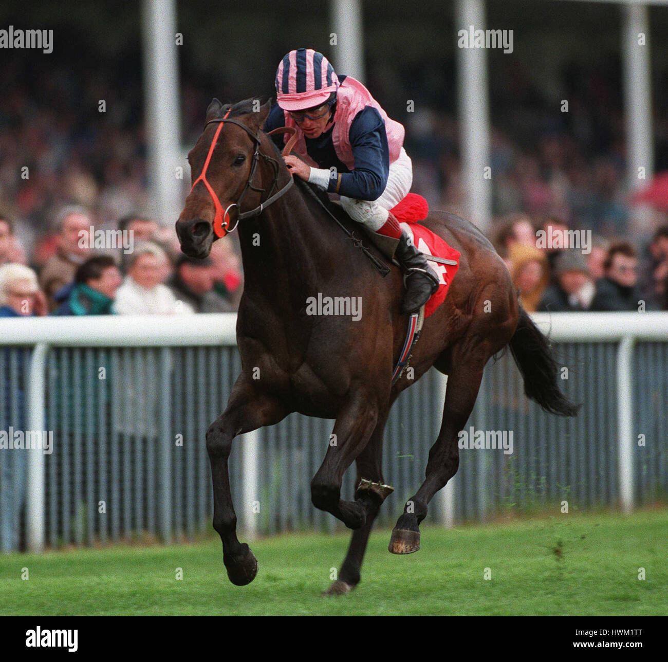 BRAVE EDGE (PAT EDDERY) WINS THE HOMEOWNERS SPRINT. 19 May 1995 Stock ...