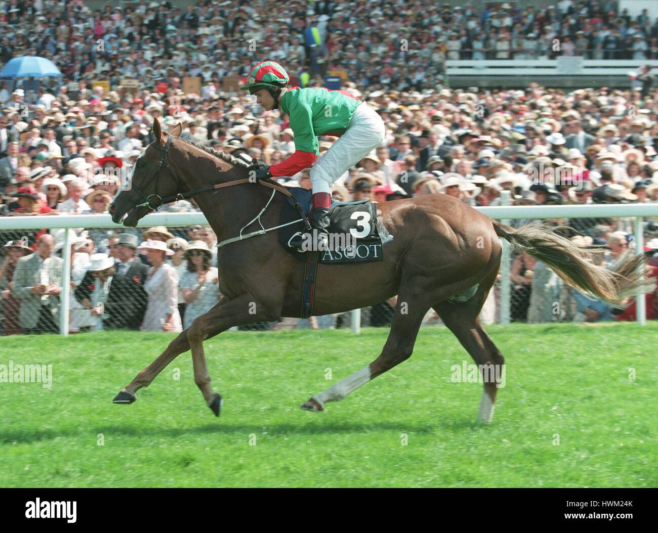 Double trigger horse hi-res stock photography and images - Alamy