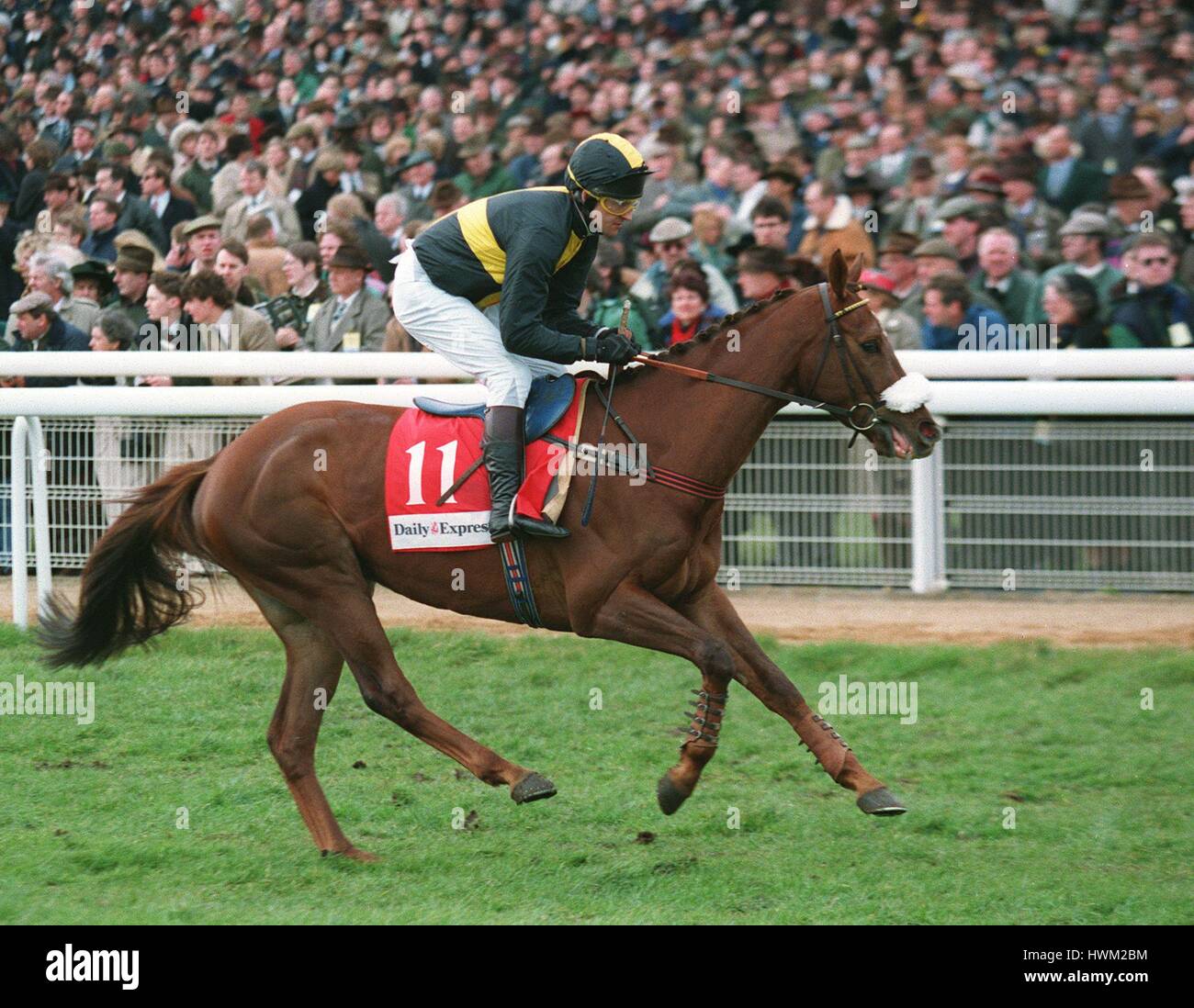 Golden arrow hi-res stock photography and images - Alamy