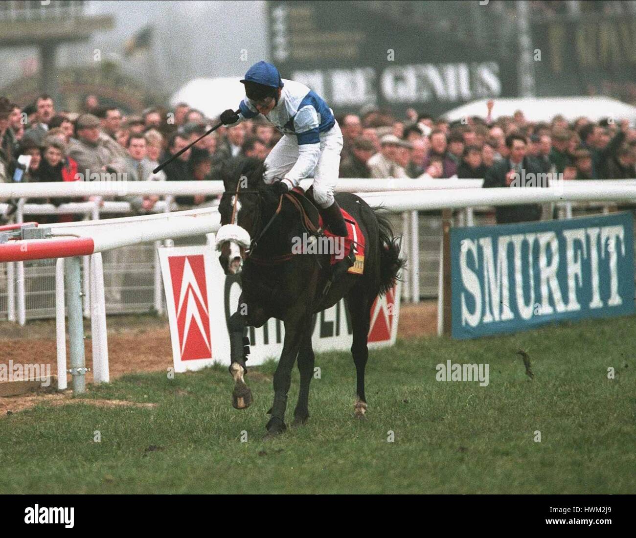 Cheltenham races horse hi-res stock photography and images - Alamy