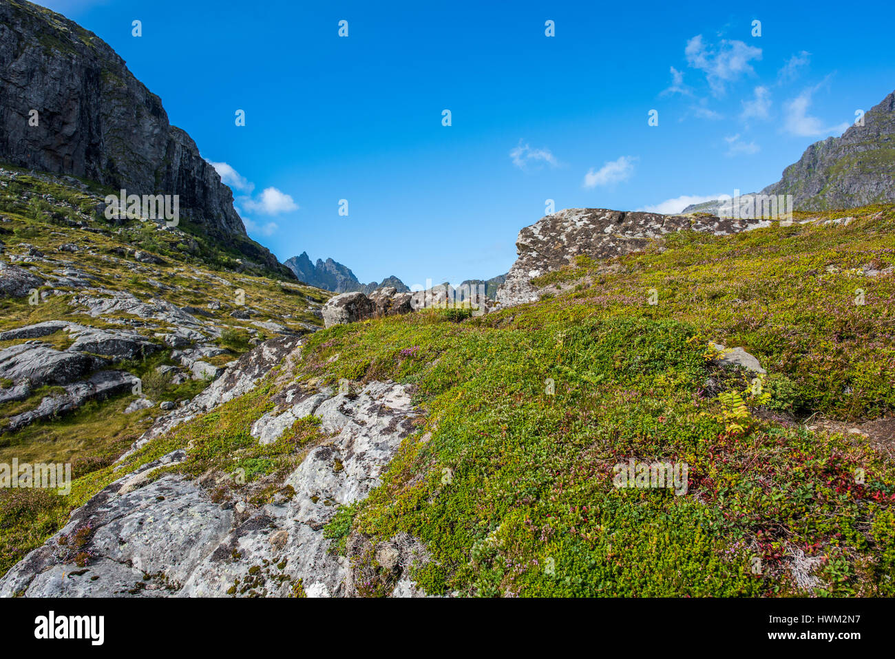 Colorful summer landscape with sharp mountain peaks in Norway Stock ...