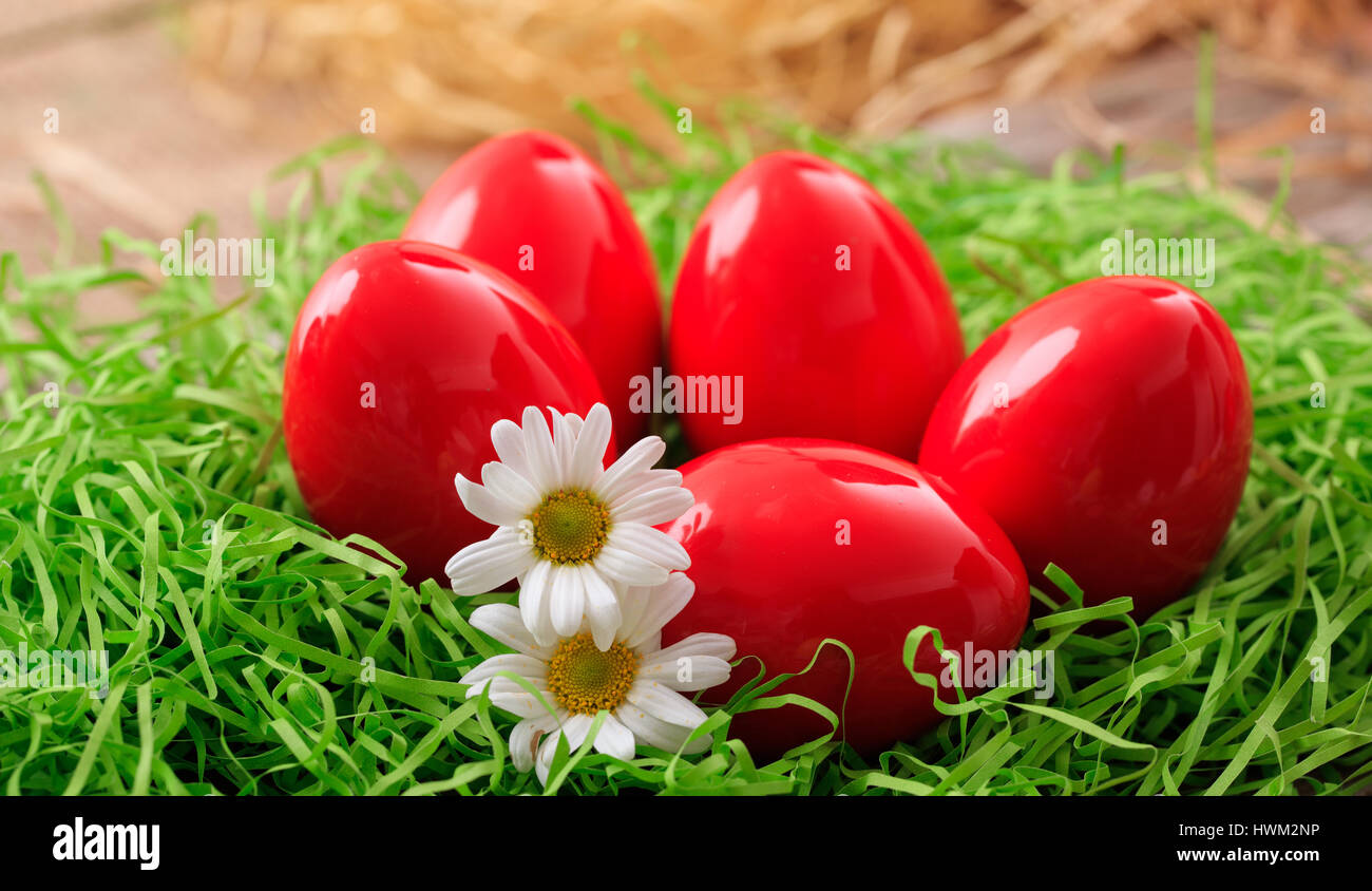 Red Easter eggs and daisies on grass Stock Photo - Alamy