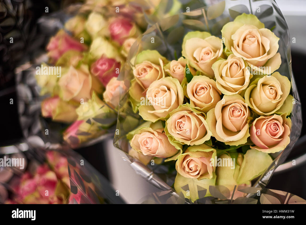 Roses in different colors packed in clear plastic Stock Photo - Alamy