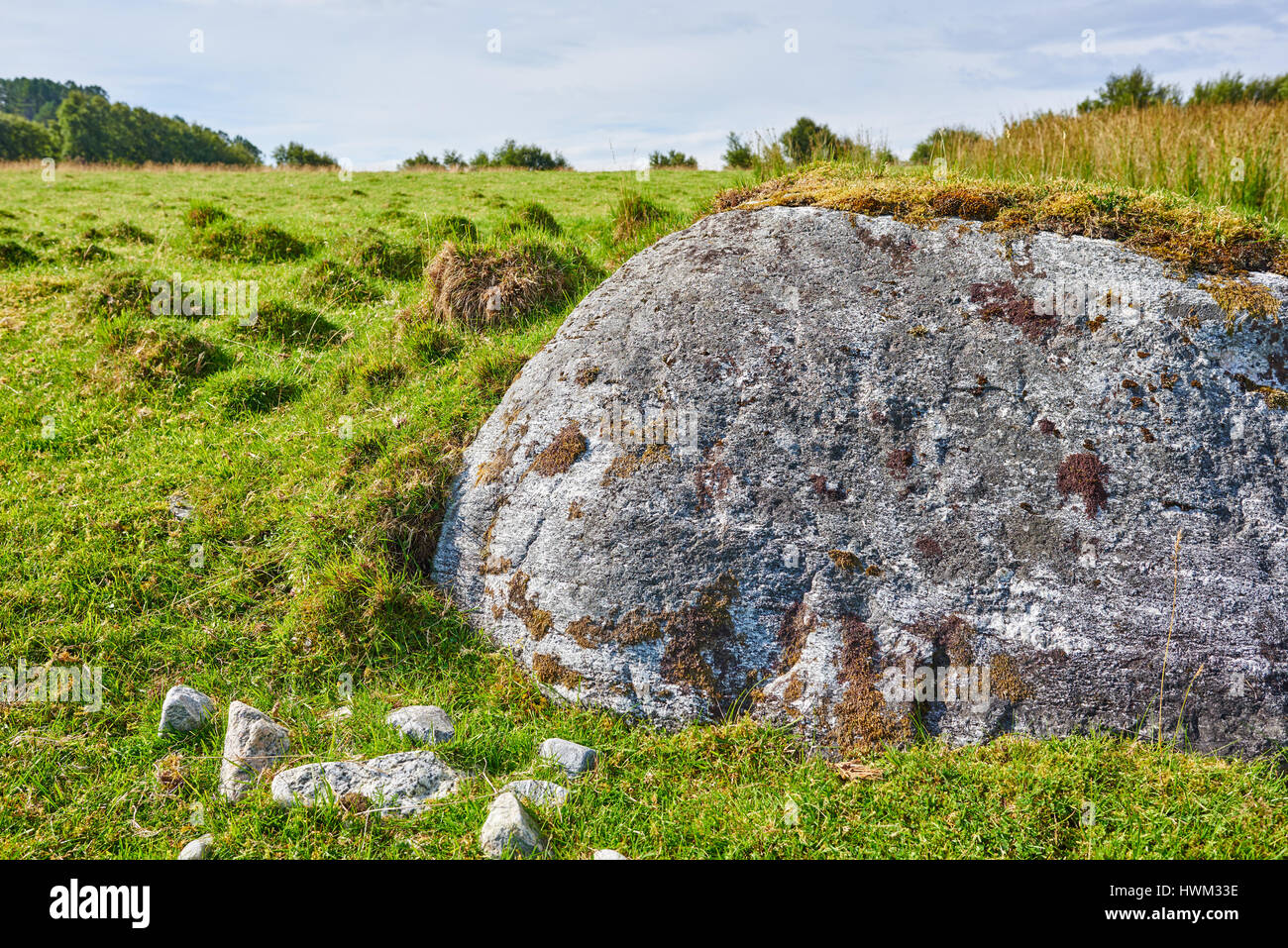 A big rock in a green field at summertime Stock Photo - Alamy