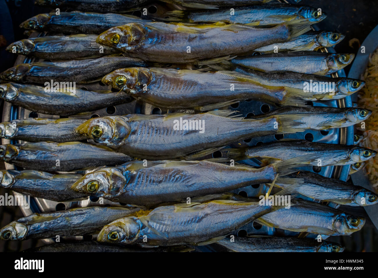 SHANGHAI, CHINA: Selection of sea food at fish market inside famous ...