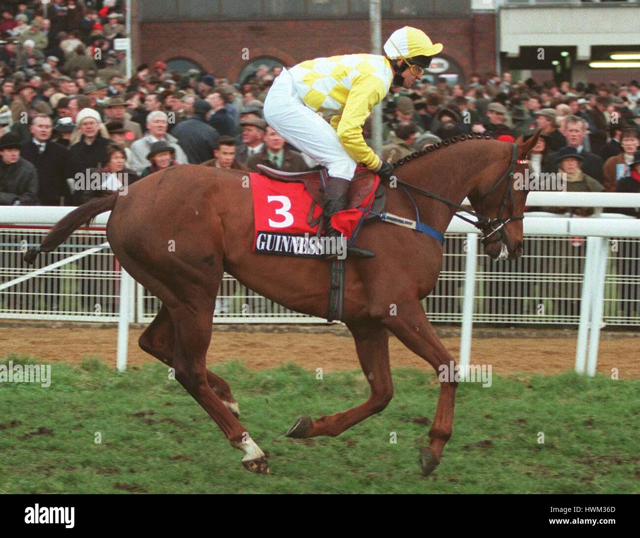 CABLE BEACH RACE HORSE 20 March 1996 Stock Photo - Alamy