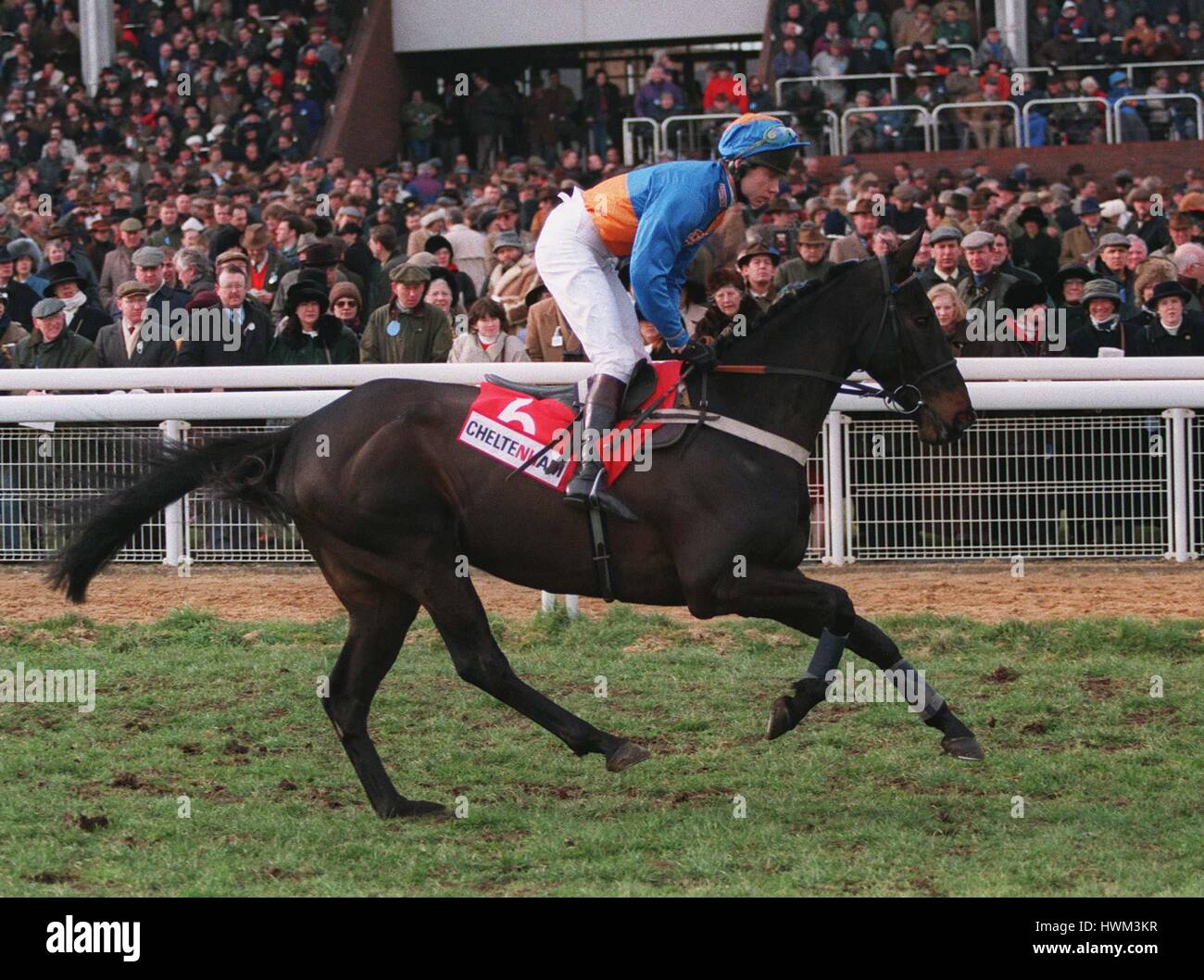 TRAVADO RACE HORSE 11 April 1996 Stock Photo - Alamy