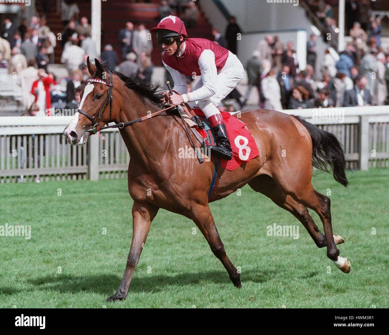 KERRY RING RACEHORSE 21 April 1996 Stock Photo - Alamy