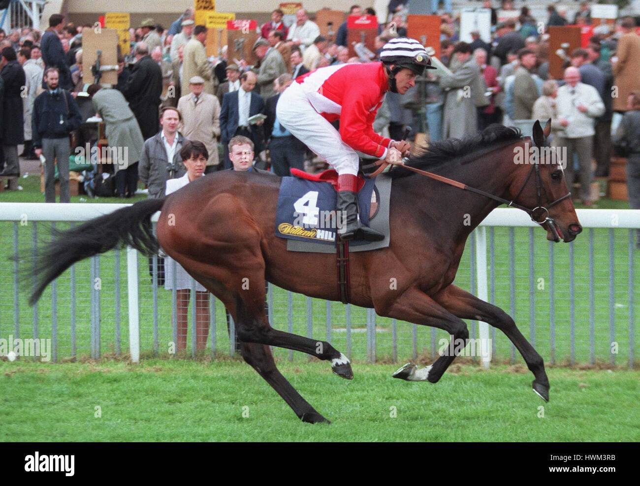 ROYAL MARK RACEHORSE 17 May 1996 Stock Photo - Alamy