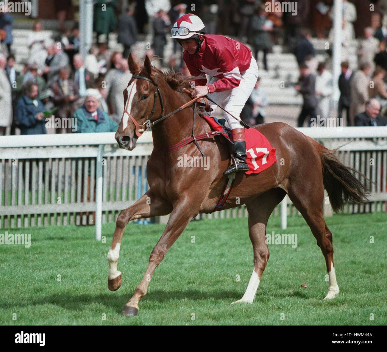 YOUNG ANNABEL RACEHORSE 21 April 1996 Stock Photo - Alamy