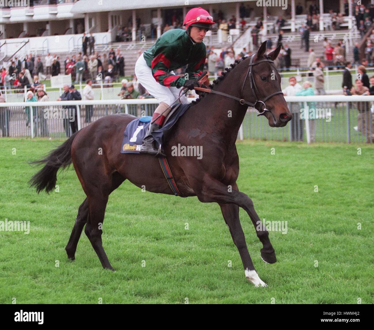 King of peru hi-res stock photography and images - Alamy