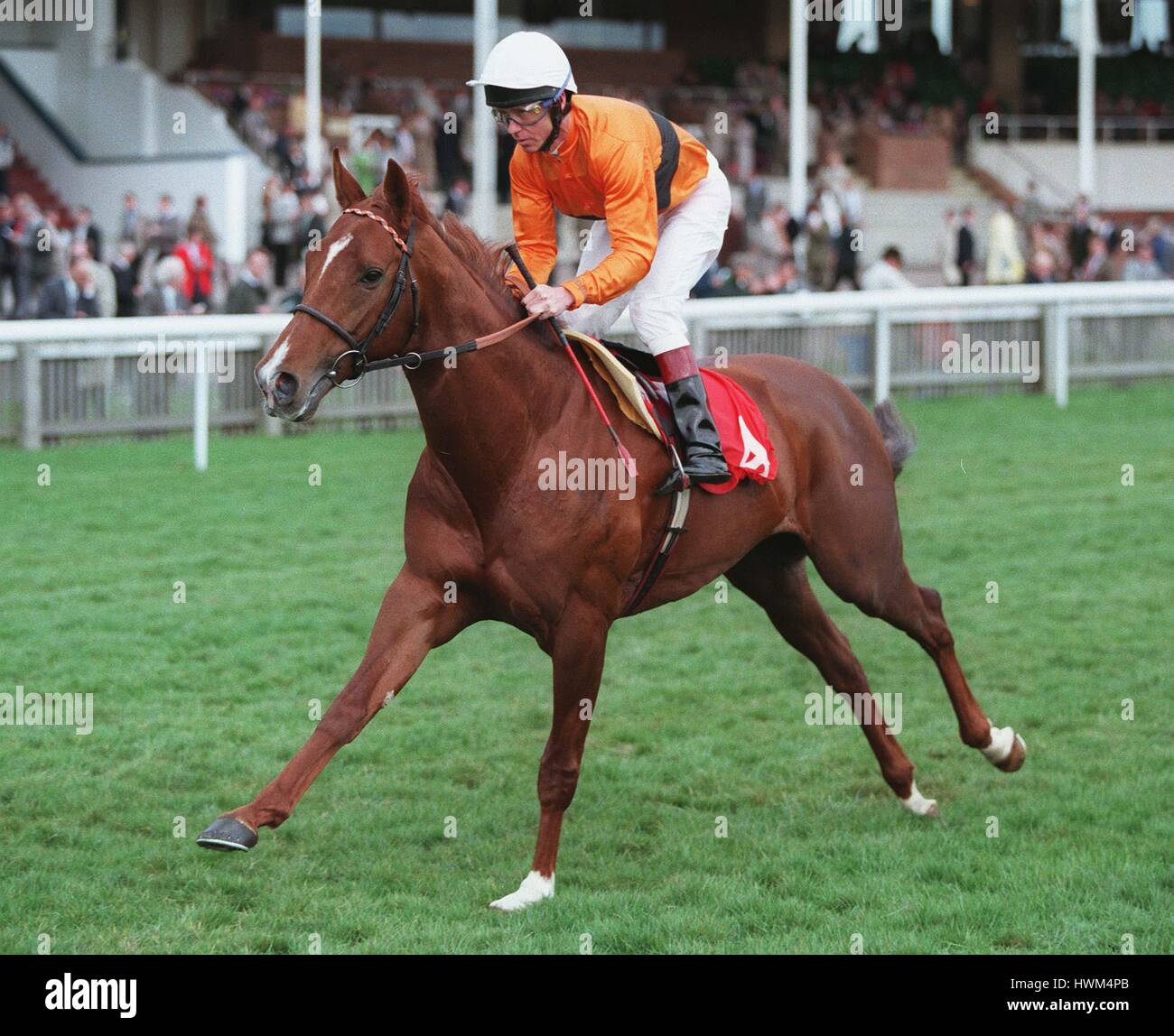BEAUCHAMP JAZZ RACEHORSE 21 April 1996 Stock Photo - Alamy