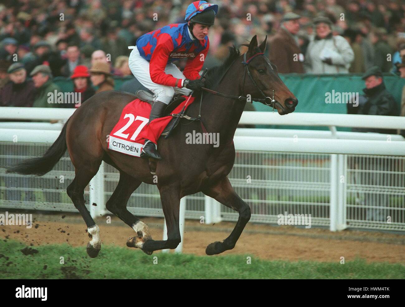 Solatium hi-res stock photography and images - Alamy