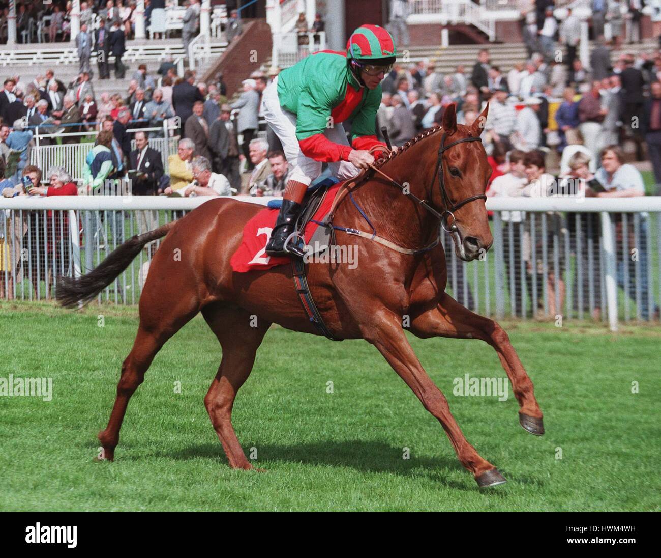 DOUBLE BLUE RACEHORSE 17 May 1996 Stock Photo - Alamy