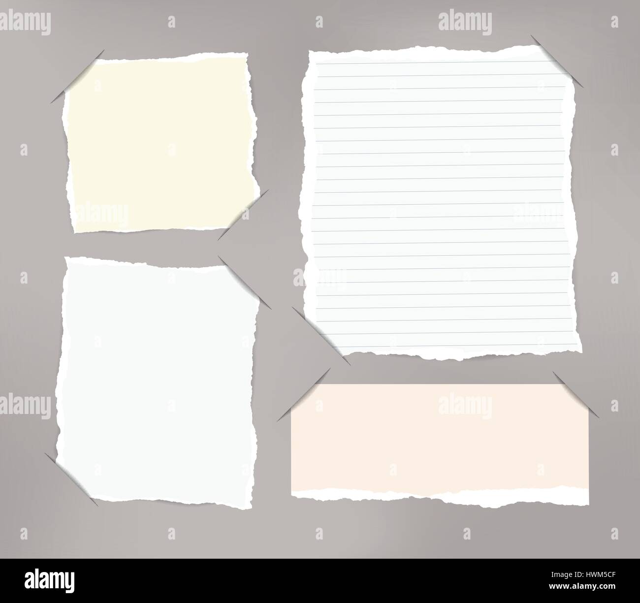 Pieces of torn white, pastel blank and ruled note copybook, notebook ...