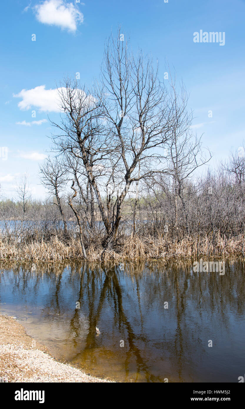 Reflection rural hi-res stock photography and images - Alamy