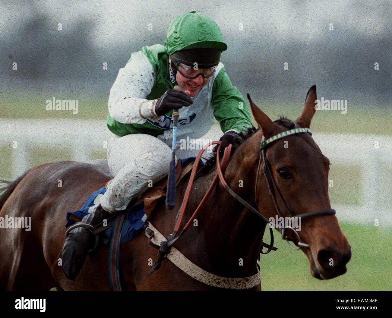 Vigors hi-res stock photography and images - Alamy