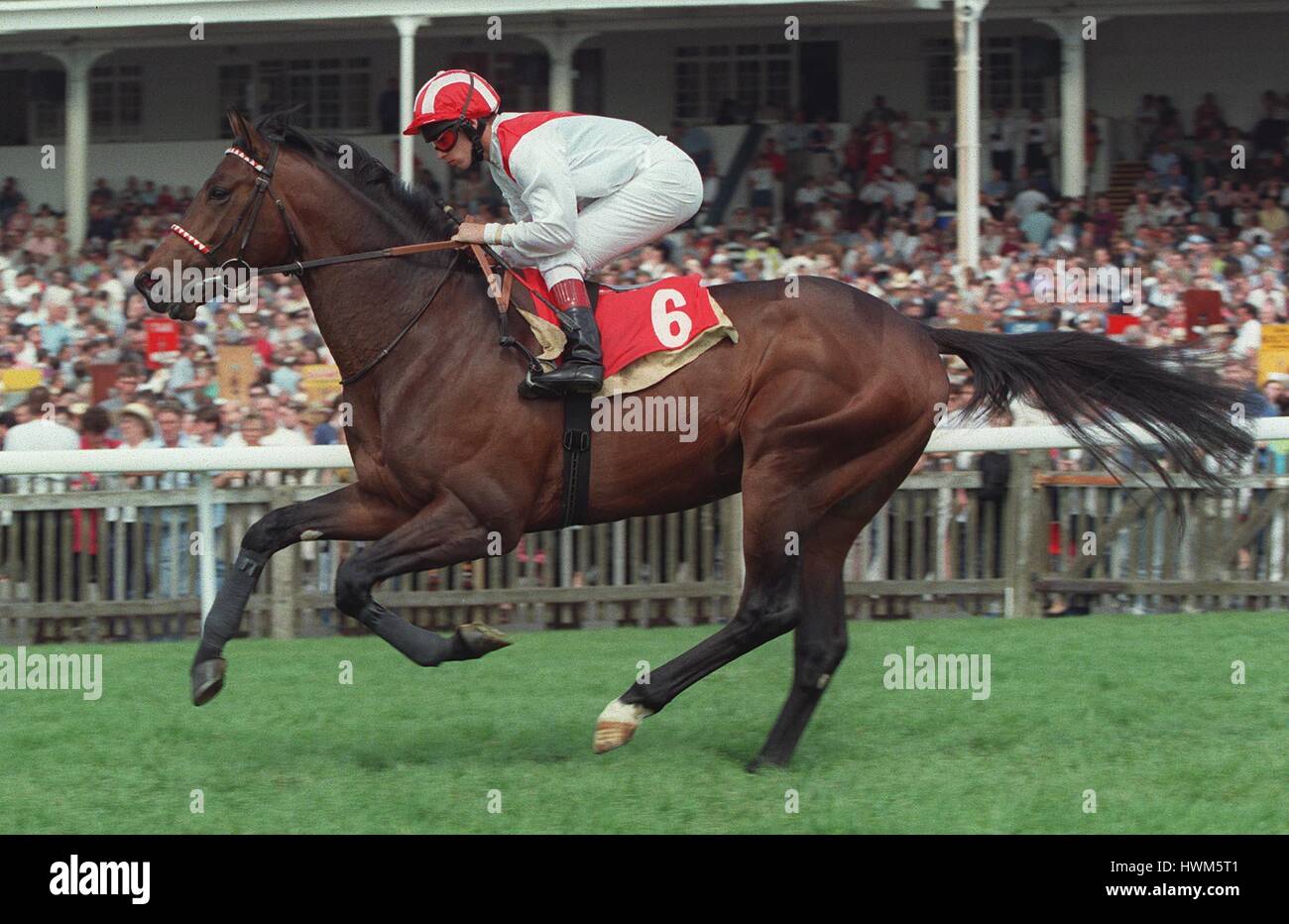 BEVIER RIDDEN BY BRETT DOYLE 23 May 1997 Stock Photo - Alamy