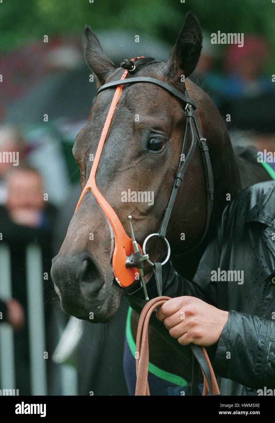 TIPPITT BOY RACE HORSE 25 June 1997 Stock Photo - Alamy