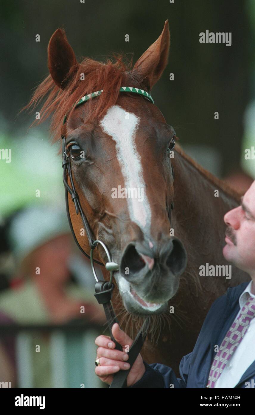 Sham hi-res stock photography and images - Alamy