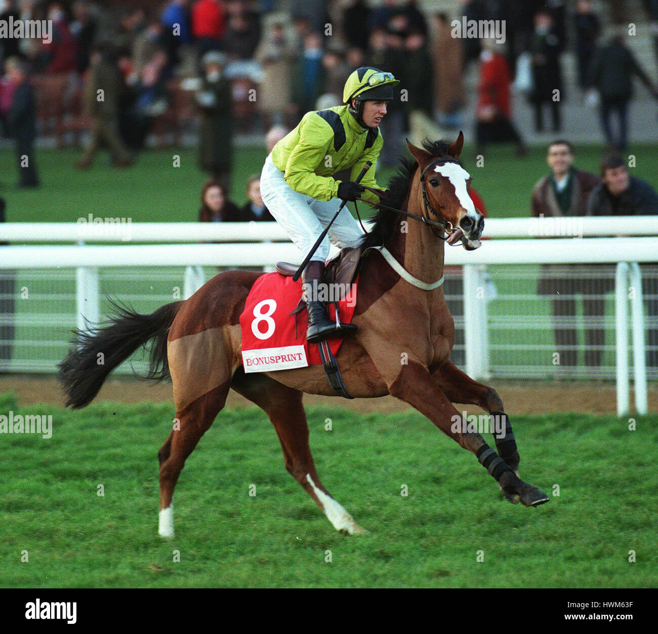 Charlie swan hi-res stock photography and images - Alamy