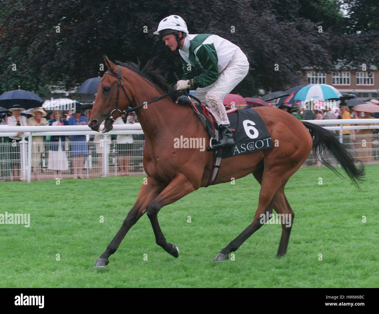 HOPPING HIGGINS RIDDEN BY CHRISTIE ROCHE 25 June 1997 Stock Photo - Alamy