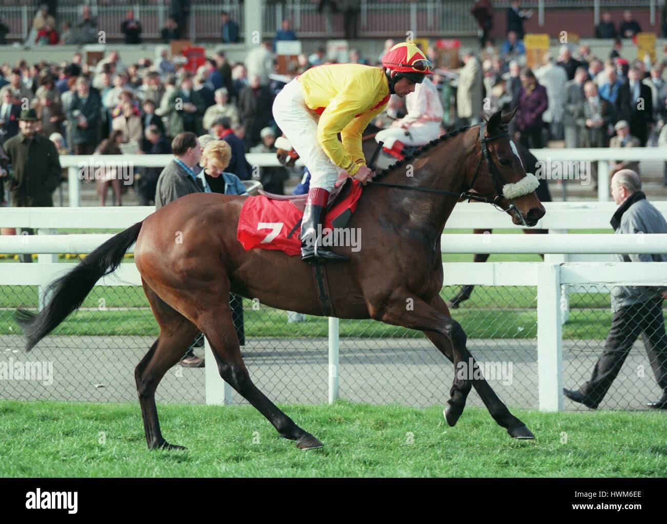 A procter hi-res stock photography and images - Alamy