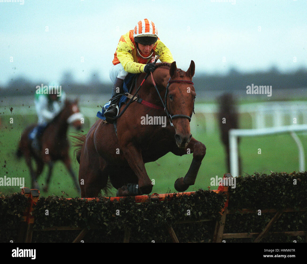 Ginger fox hi-res stock photography and images - Alamy