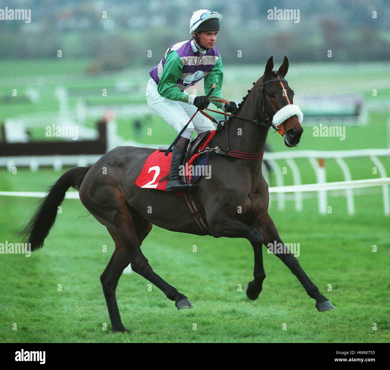 STORM RUN RIDDEN BY TIMOTHY MURPHY 18 November 1997 Stock Photo - Alamy