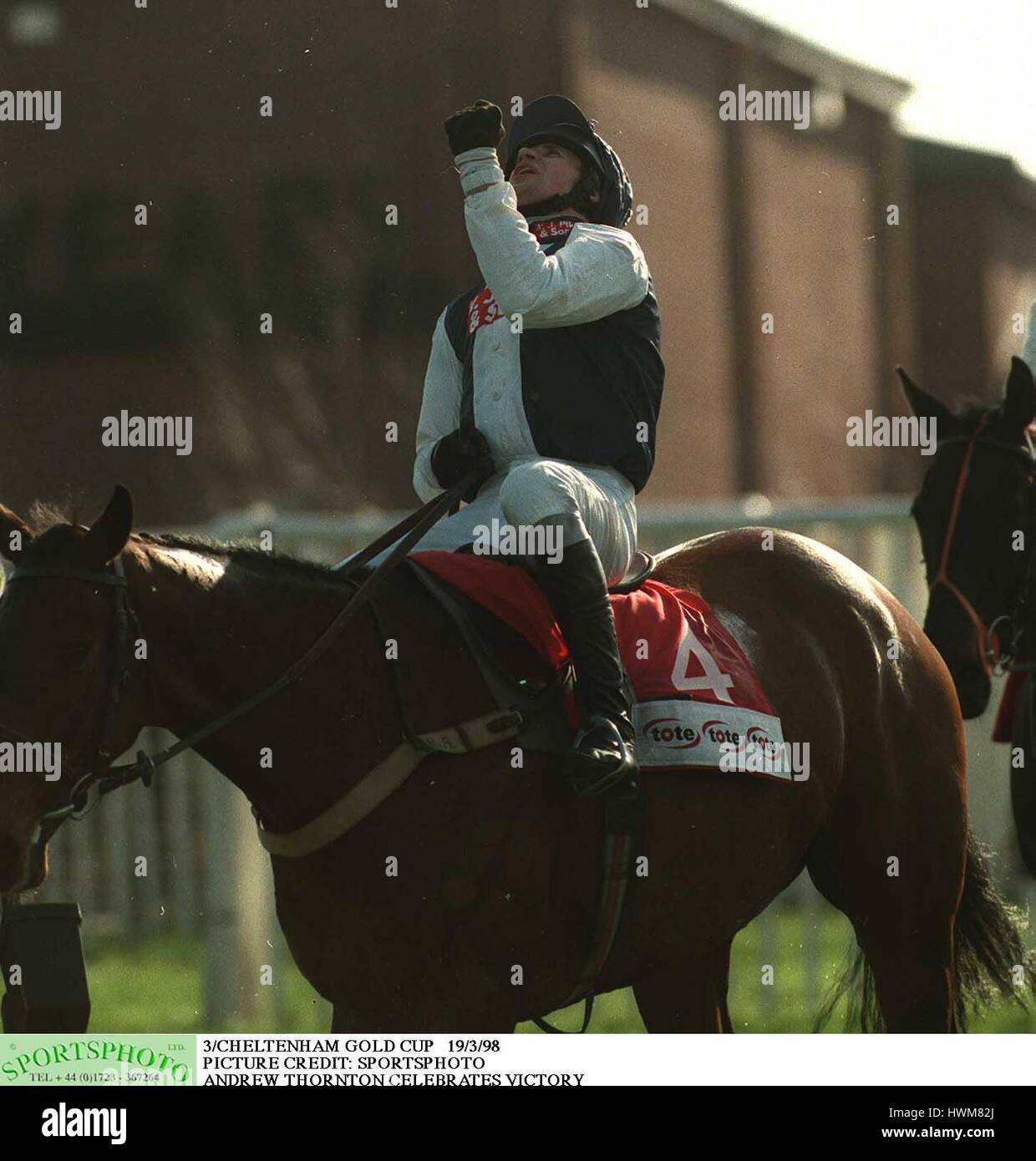 ANDREW THORNTON CELEBRATES CHELTENHAM GOLD CUP 1998 19 March 1998 Stock ...