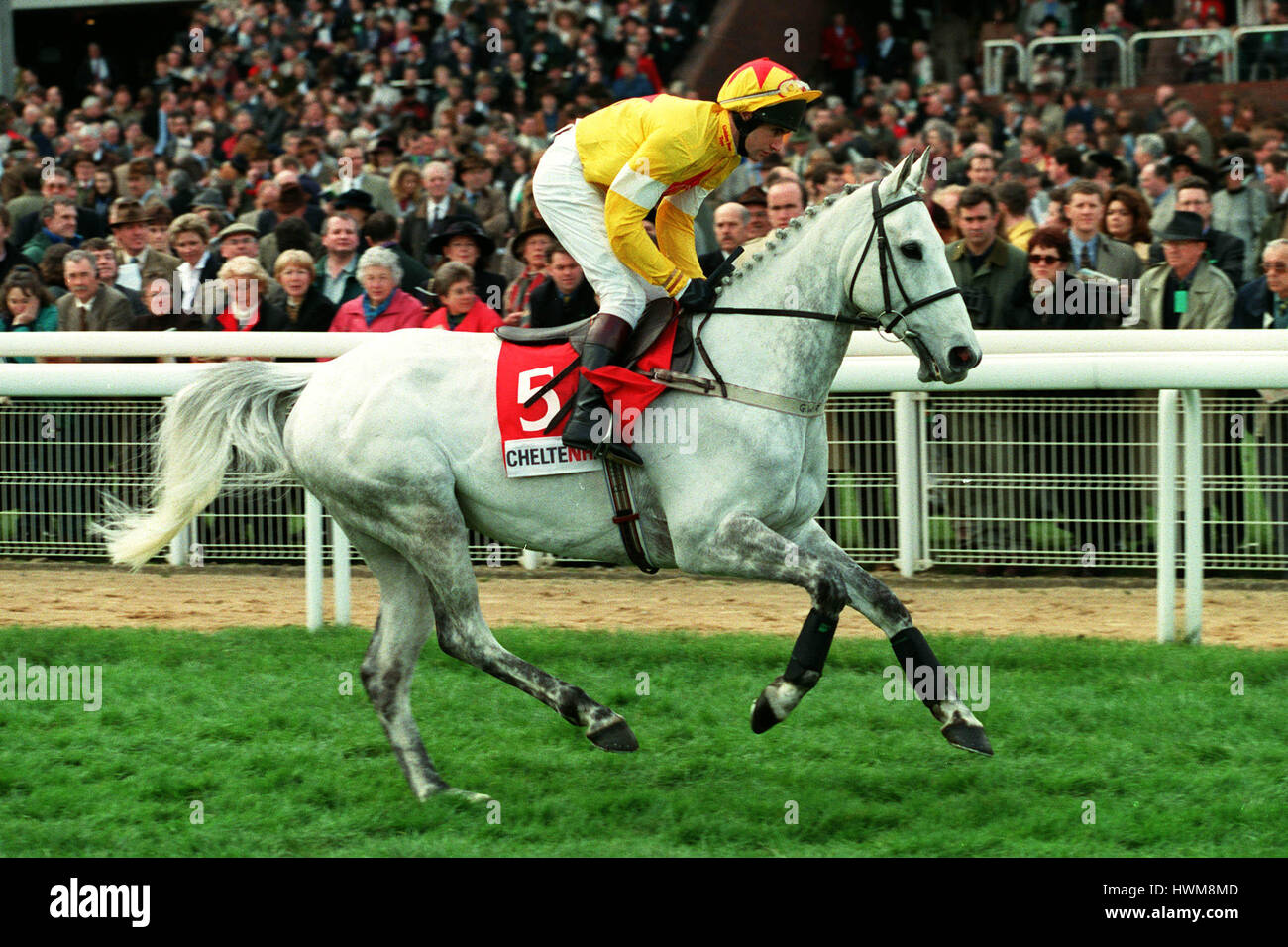 ONE MAN RIDDEN BY BRIAN HARDING 23 March 1998 Stock Photo - Alamy
