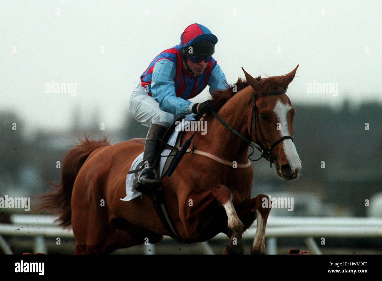 PROMINENT PROFILE RIDDEN BY CARL LLEWELLYN 25 January 1999 Stock Photo ...