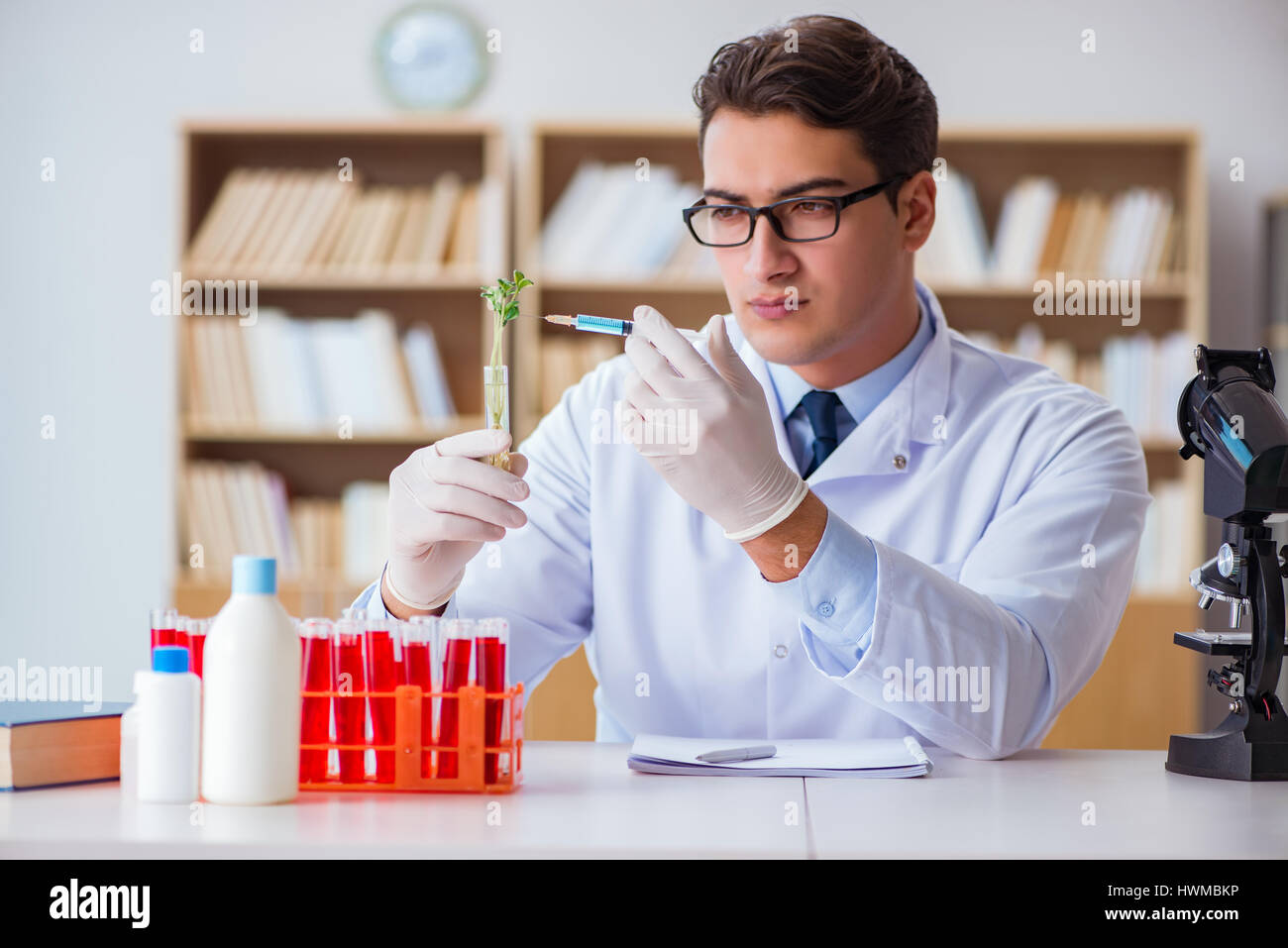 Biotechnology scientist working in the lab Stock Photo - Alamy