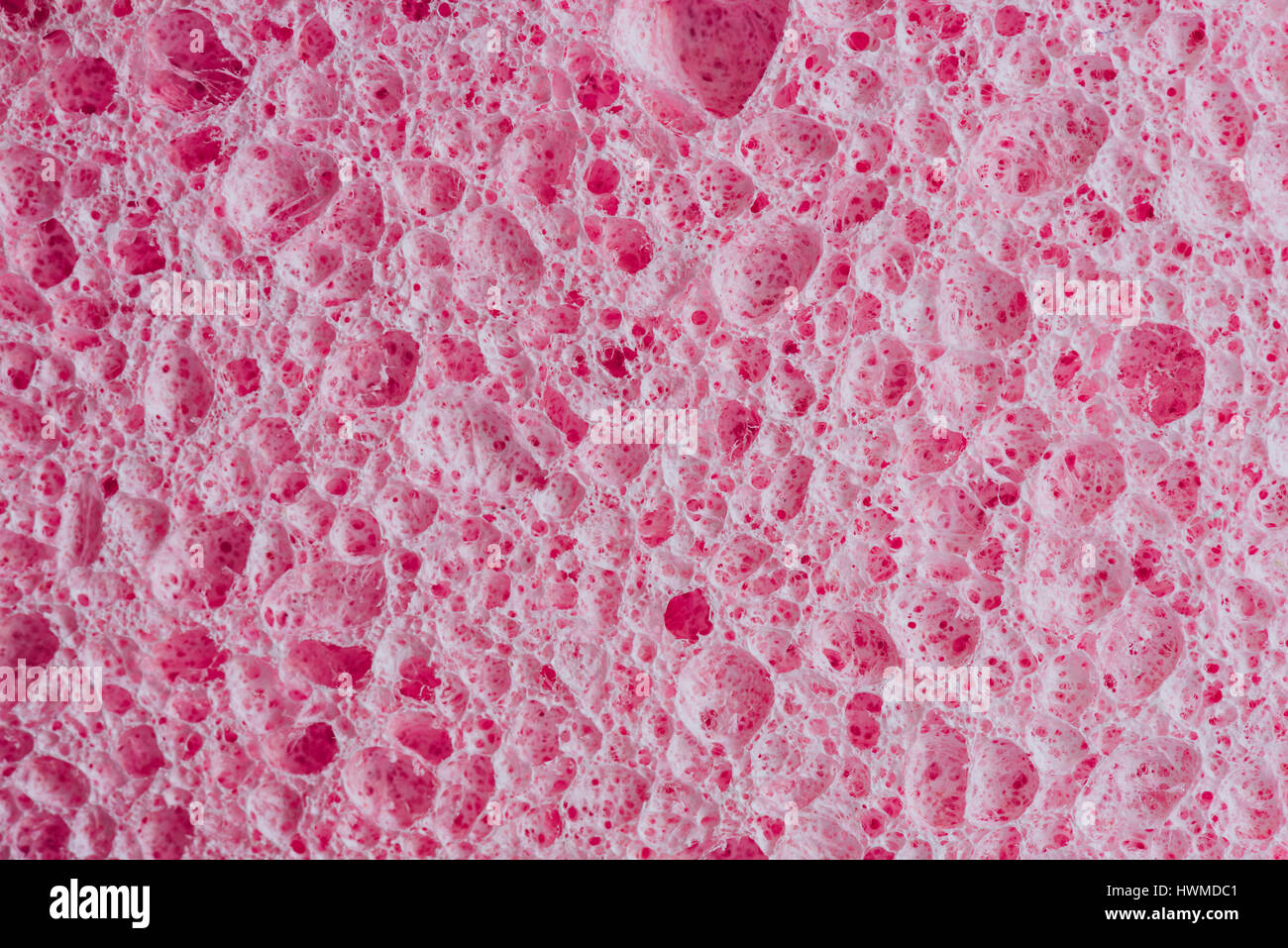 Pink sponge Texture background Stock Photo - Alamy