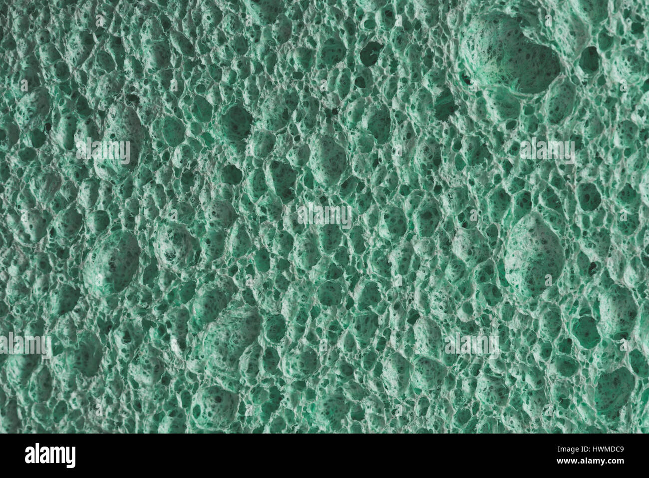 Green sponge Texture background Stock Photo - Alamy