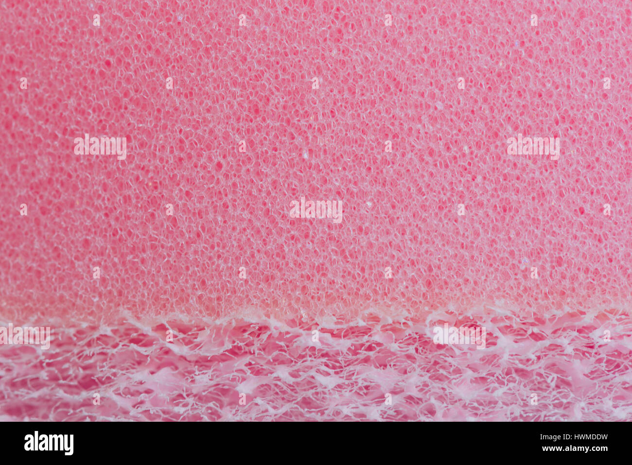 Pink sponge Texture background Stock Photo - Alamy