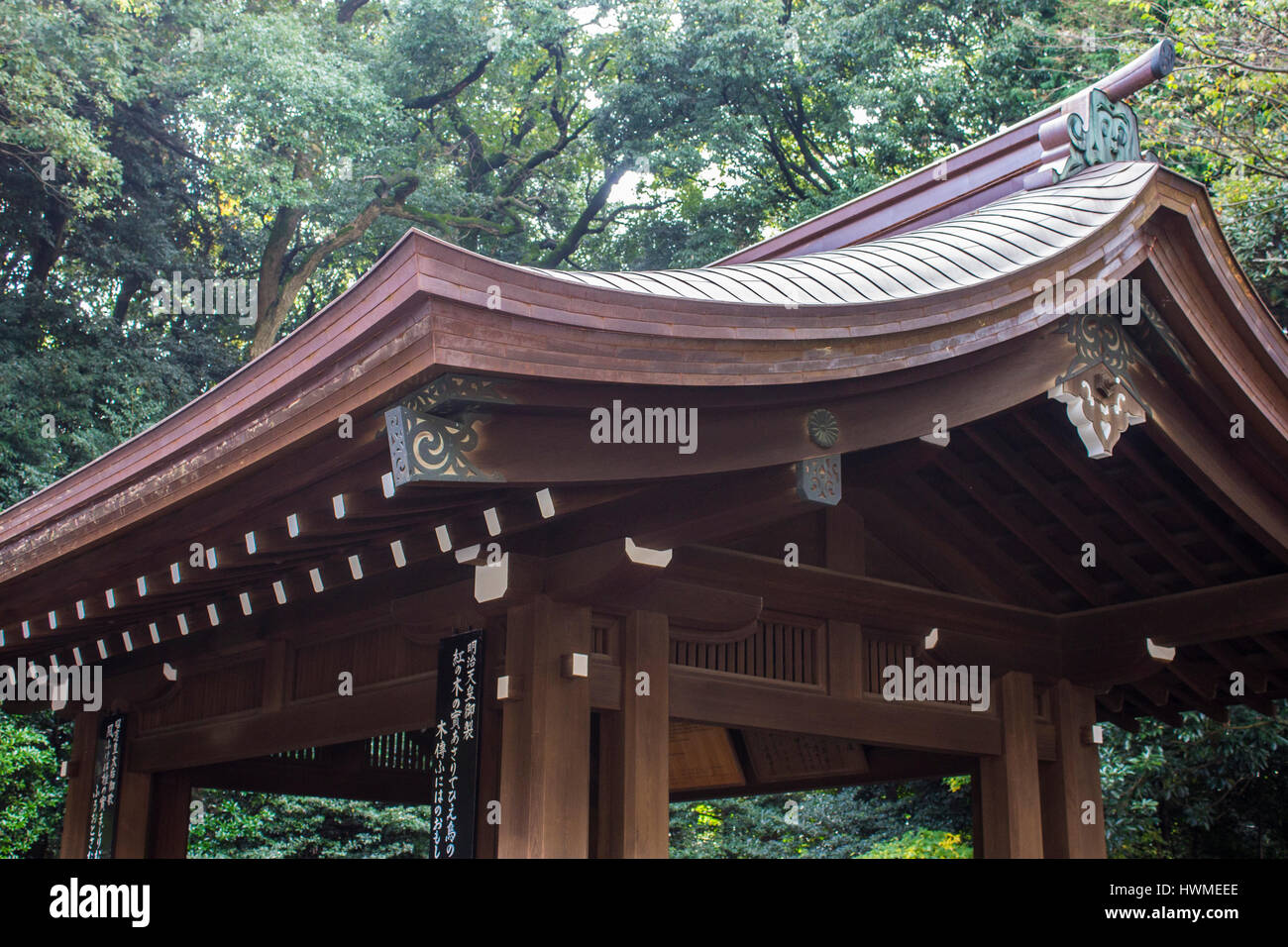 meiji, jingu, shrine, shinto, tokyo, japan, autumn, leaves, momiji, red ...