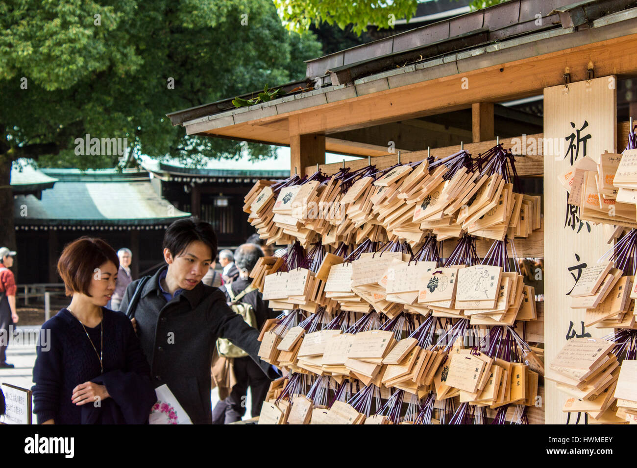 meiji, jingu, shrine, shinto, tokyo, japan, autumn, leaves, momiji, red ...