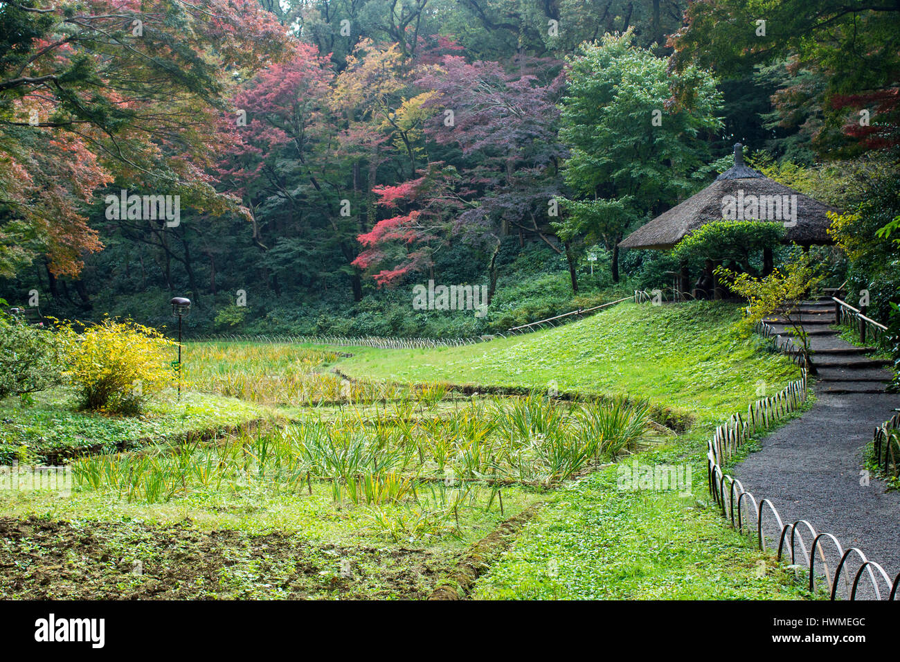Inner Gardens of Meiji Jingu, one of the most famous and important ...