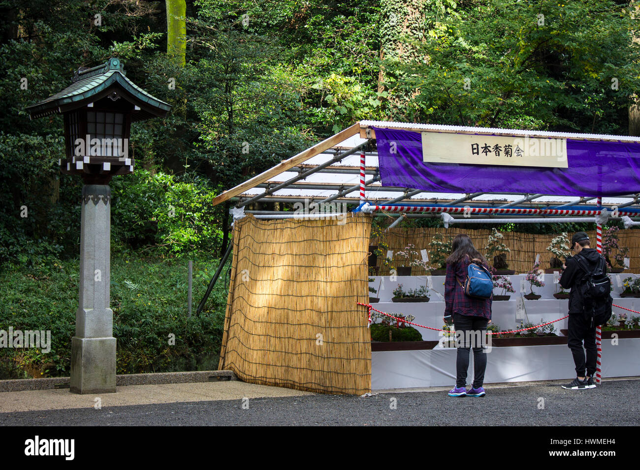 meiji, jingu, shrine, shinto, tokyo, japan, autumn, leaves, momiji, red ...