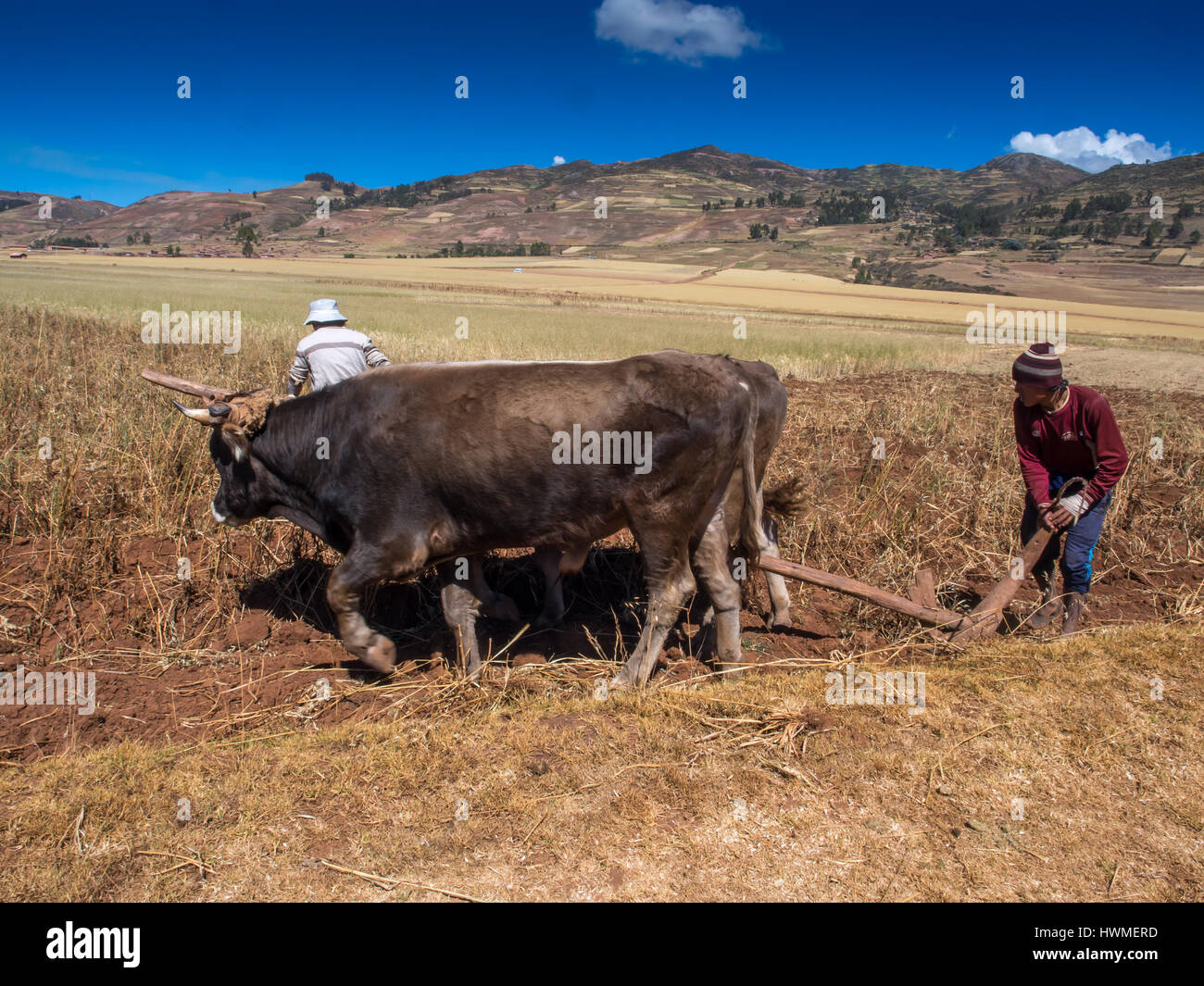 Primitive agriculture hi-res stock photography and images - Alamy