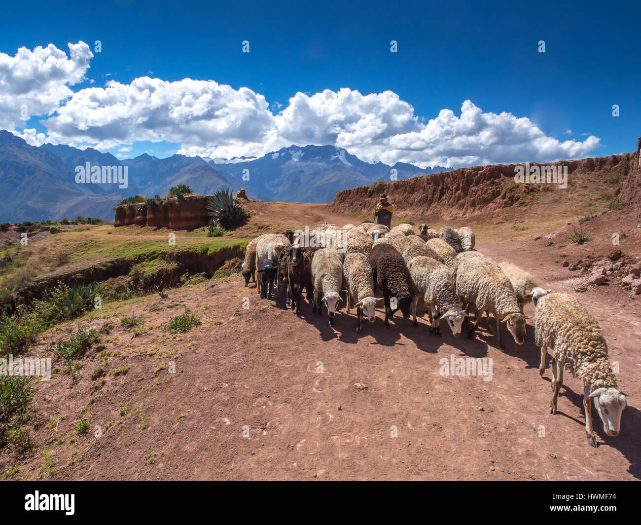 Andes farmer snow hi-res stock photography and images - Alamy