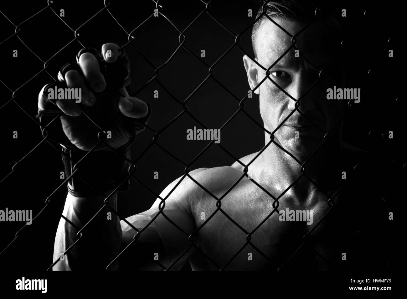 Strong Mixed Martial Arts fighter inside the cage Stock Photo - Alamy