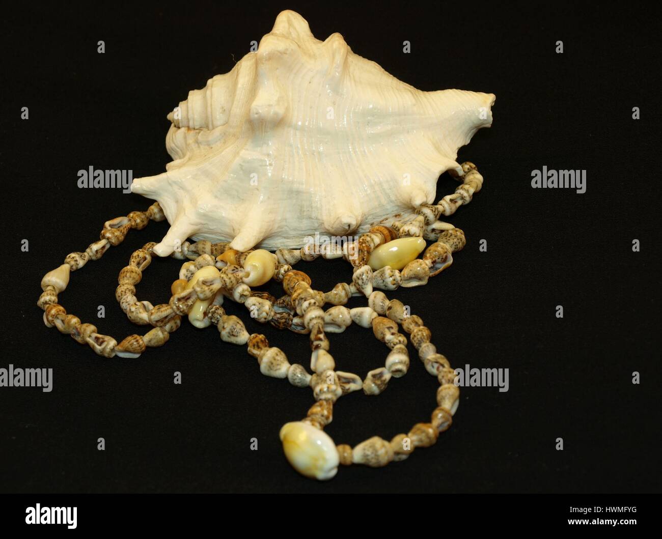A lot of sheels Stock Photo - Alamy